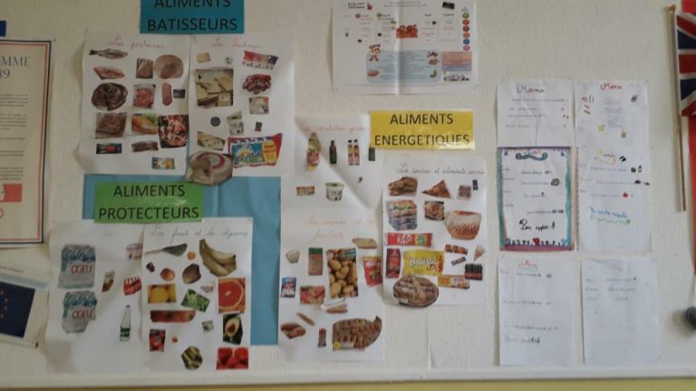 Le rôle des aliments